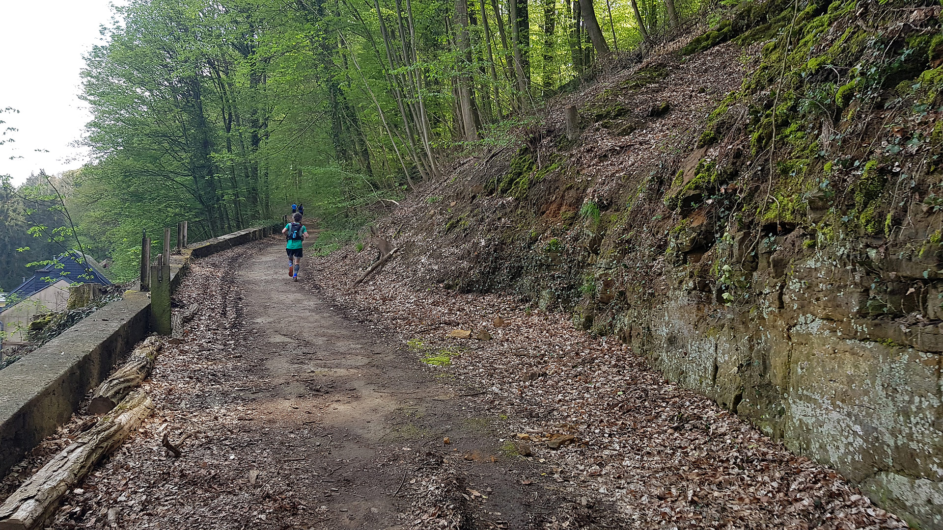Race report: DKV Urban Trail Luxembourg 34k (“La Granducale”): 46th/237 ...