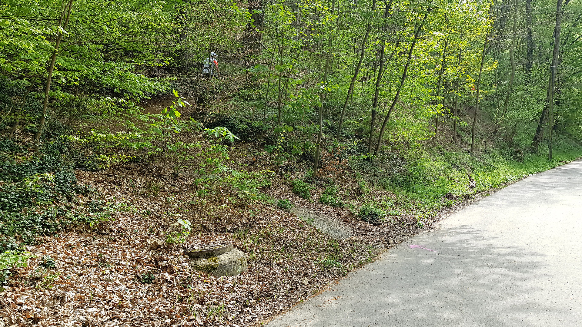 Race report: DKV Urban Trail Luxembourg 34k (“La Granducale”): 46th/237 ...